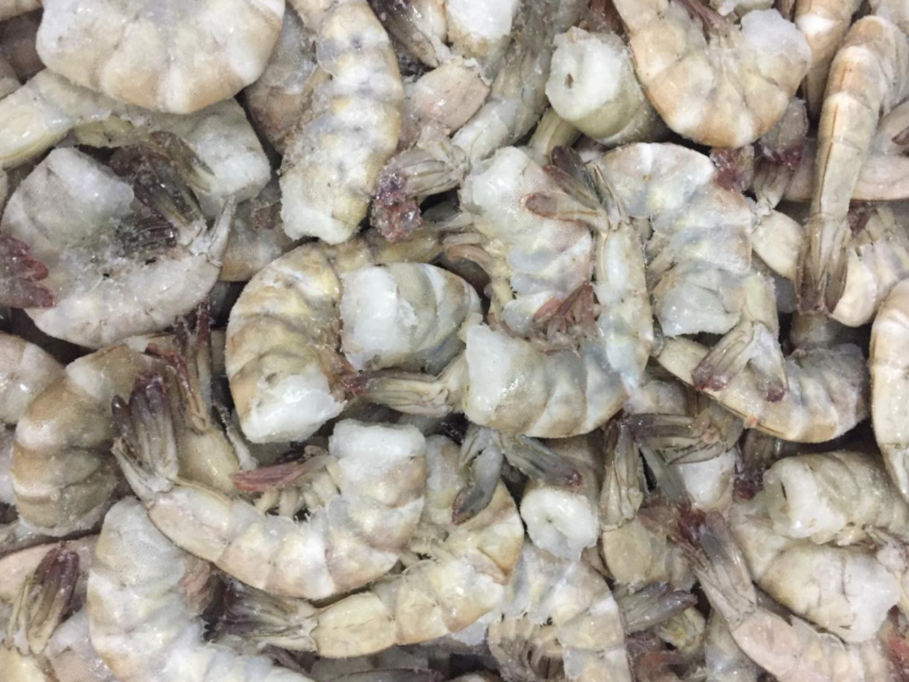 Comercializadora de Pescados y Mariscos las Brisas