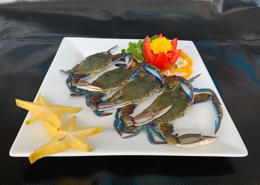 Comercializadora de Pescados y Mariscos las Brisas